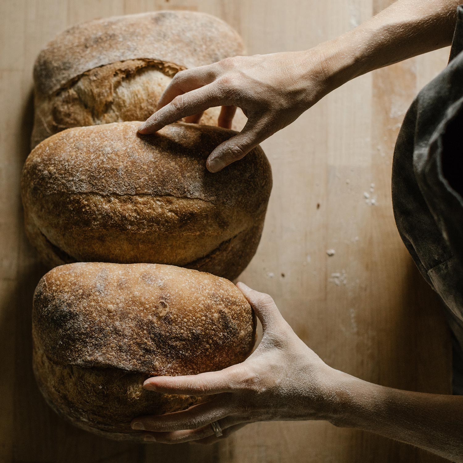 Home | Sea Level Bakery + Coffee